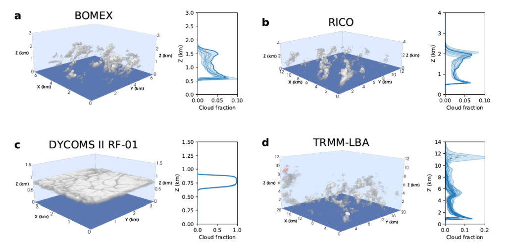 A library of large-eddy simulations for calibrating cloud ...